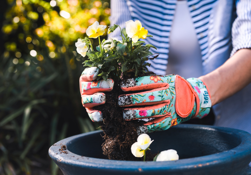Celebrate National Gardening Day with Digz Gardening