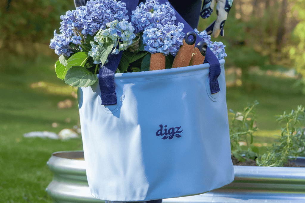 Digz